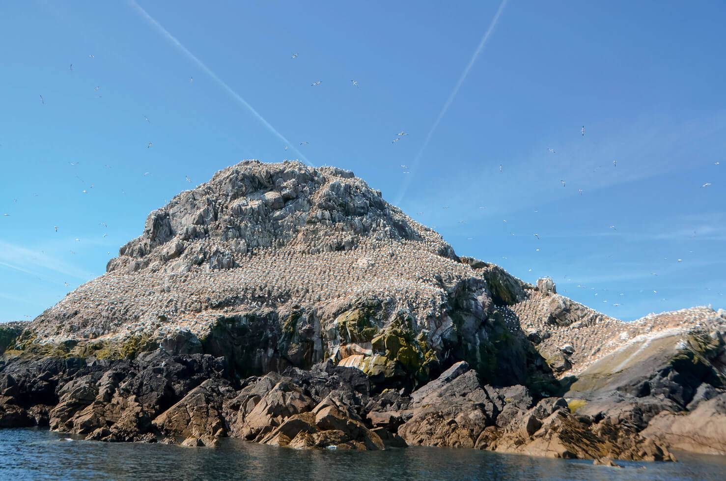 L'Archipel des 7 îles - Terre à Tribord